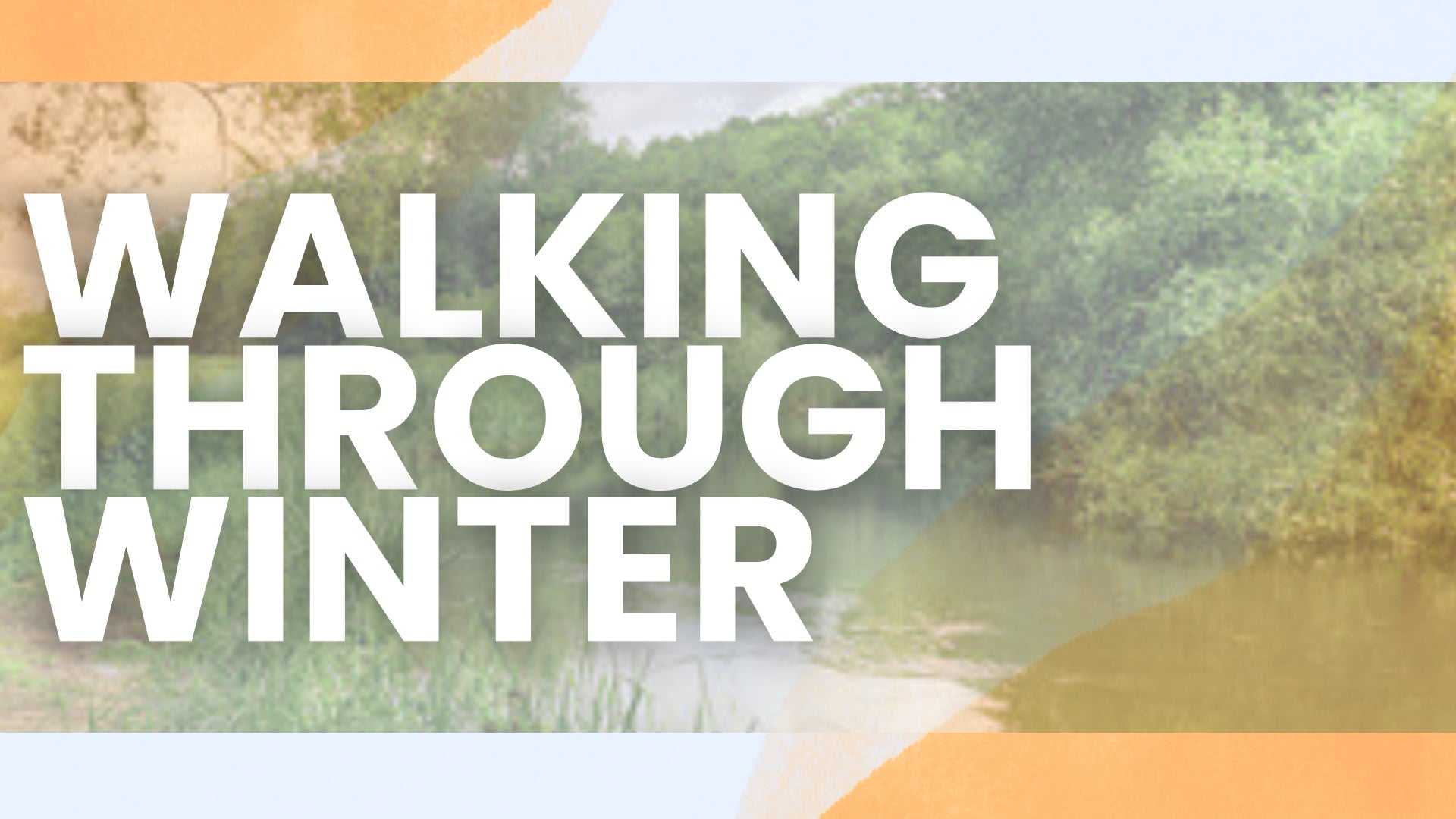 A Tale of Two Strollers – October Books